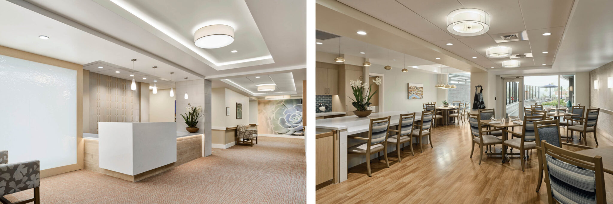 Repositioning Skilled Nursing Facilities to Adapt to a New Market ...