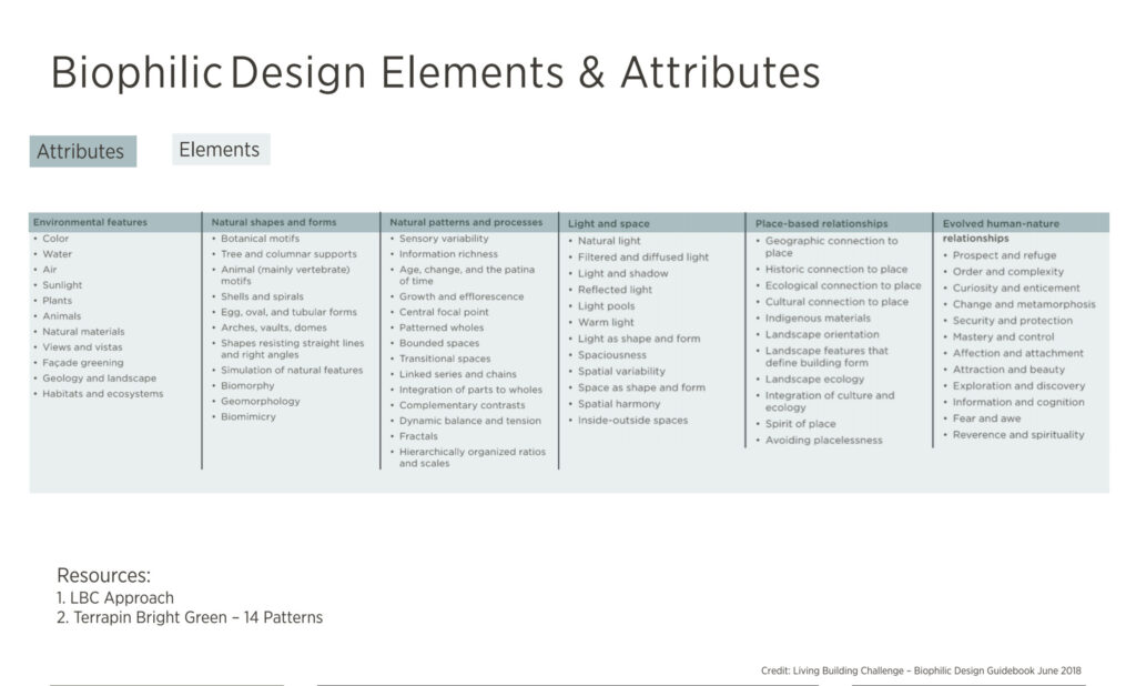 What You Need to Know About Biophilic Design - Ankrom Moisan