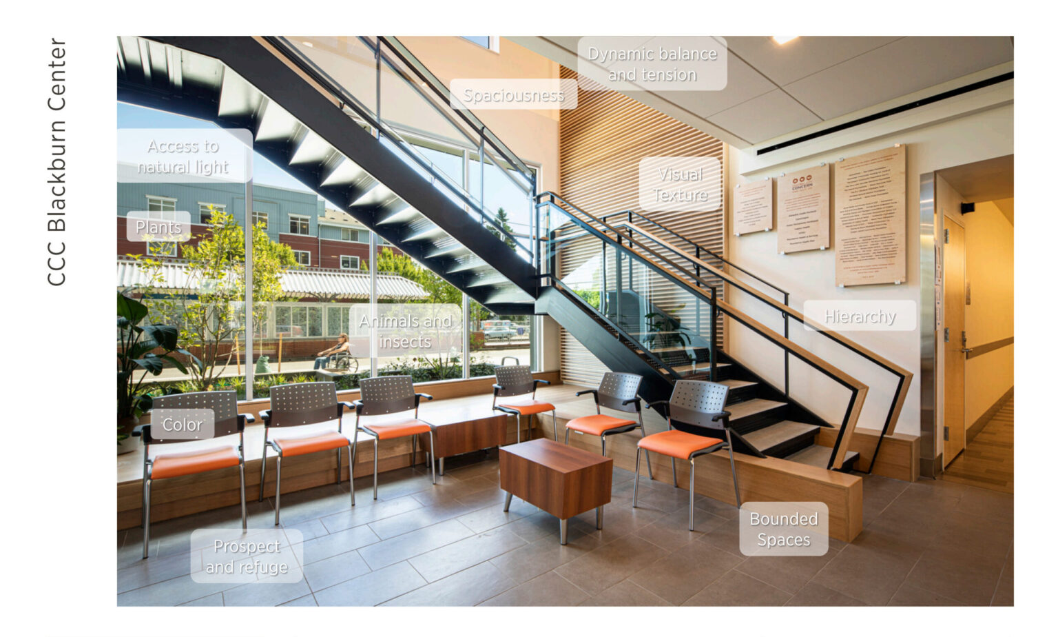 Biophilic Design in Healthcare Spaces - Ankrom Moisan