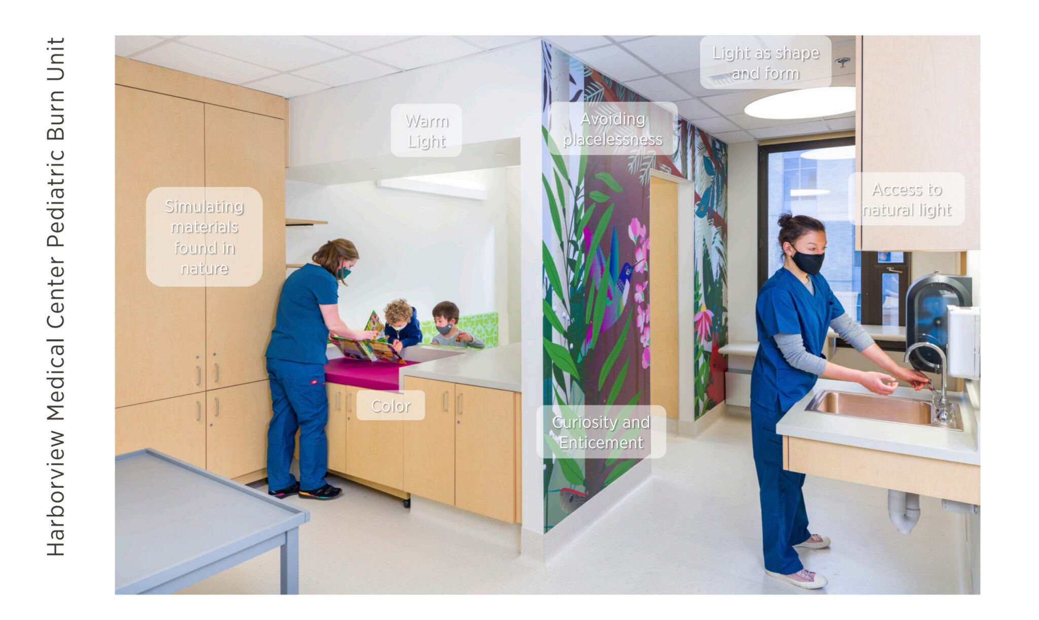 Biophilic Design in Healthcare Spaces - Ankrom Moisan