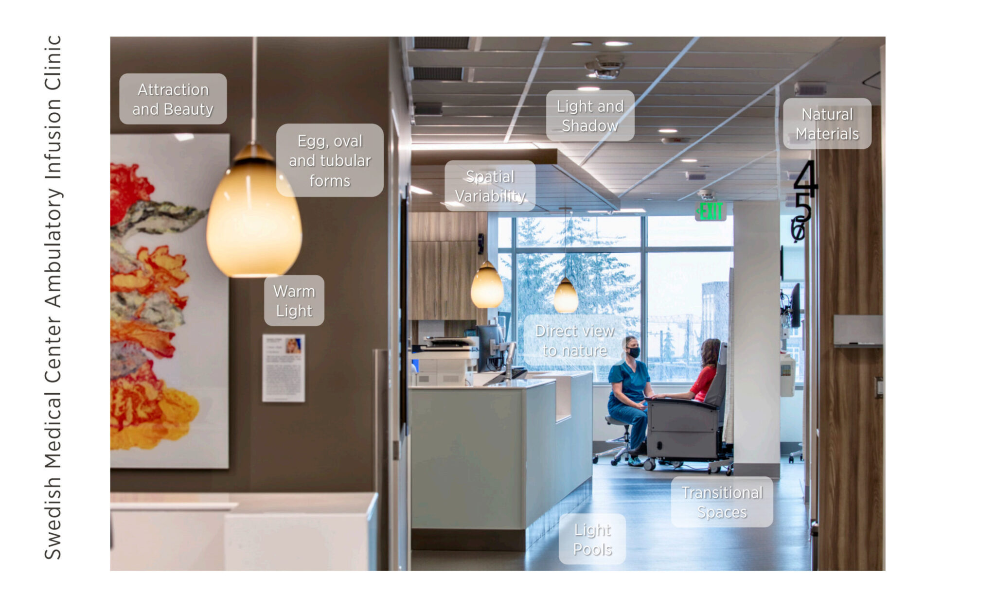 Biophilic Design in Healthcare Spaces - Ankrom Moisan